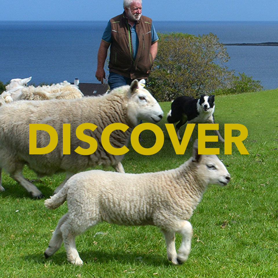 DISCOVER – FlodPod